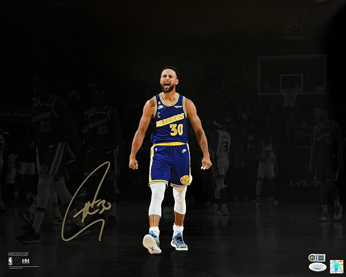 Stephen Curry Golden State Warriors Signed Scream Spotlight 16x20 Phot ...